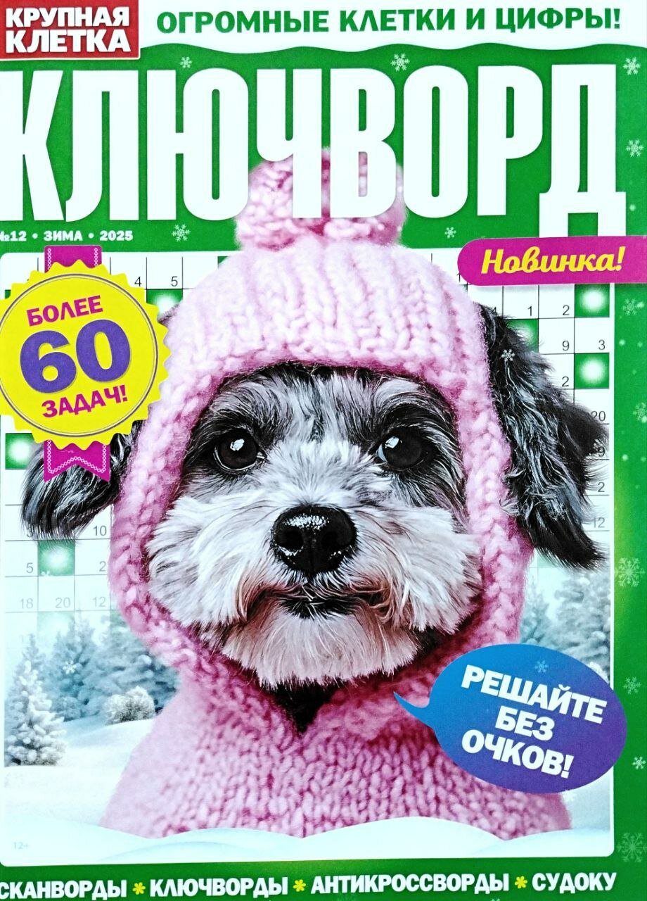 Ключворд Крупная клетка Более 60 заданий "ИД Русский сканворд"