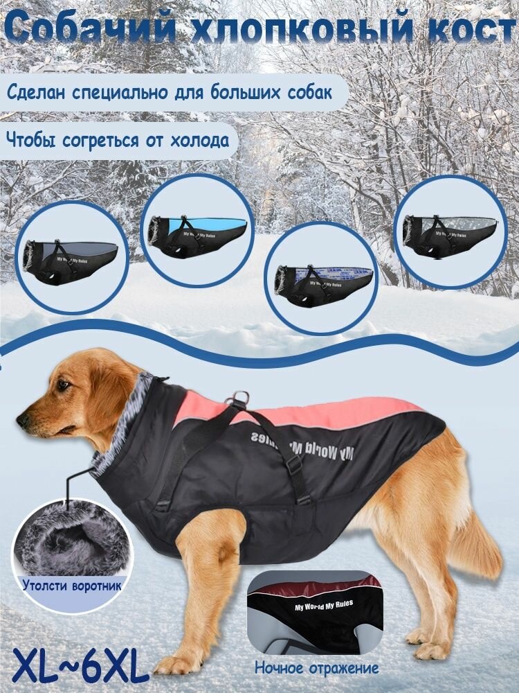 Собачий хлопковый костюм