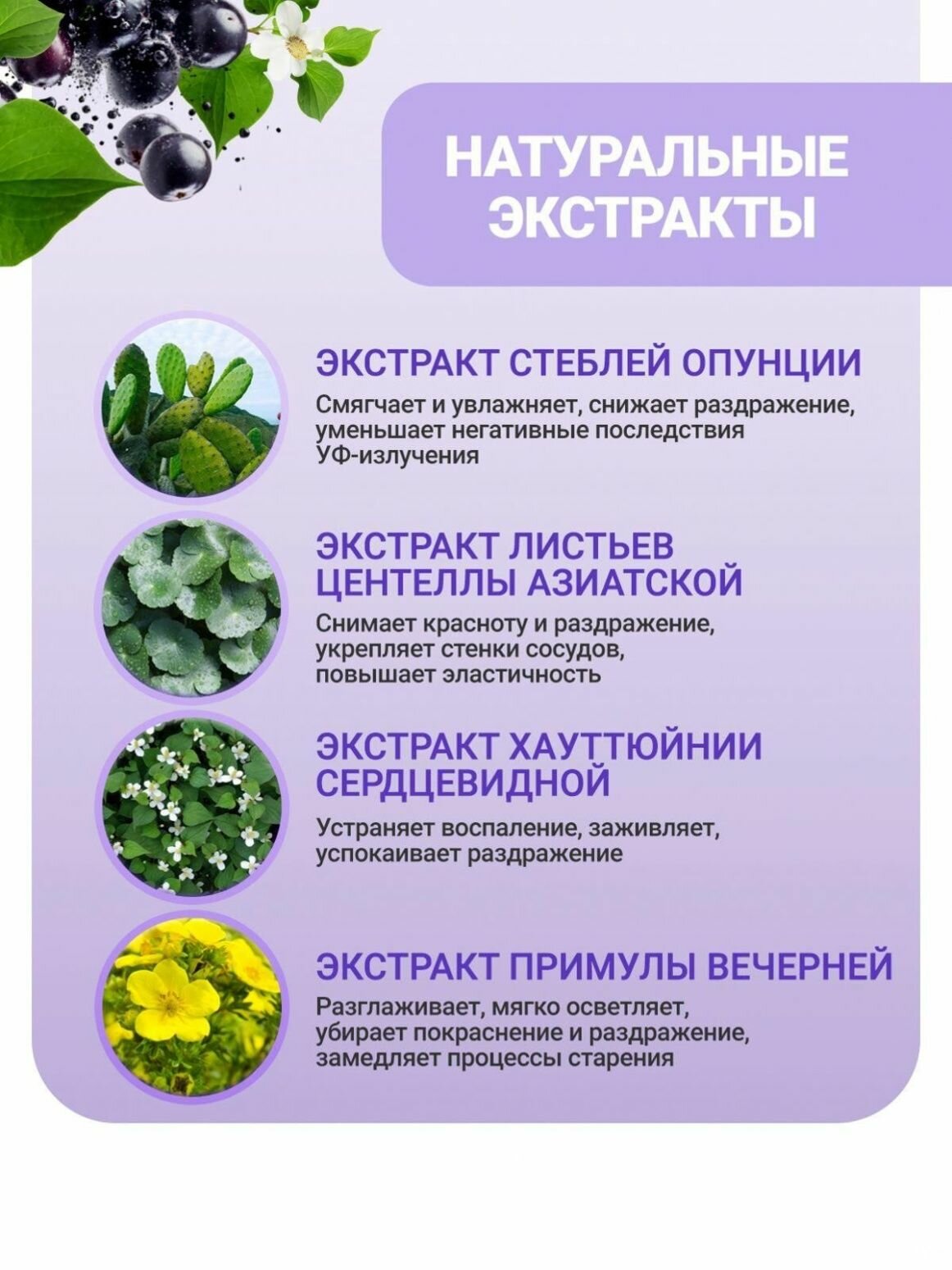 Премиум крем для кожи — фото 1