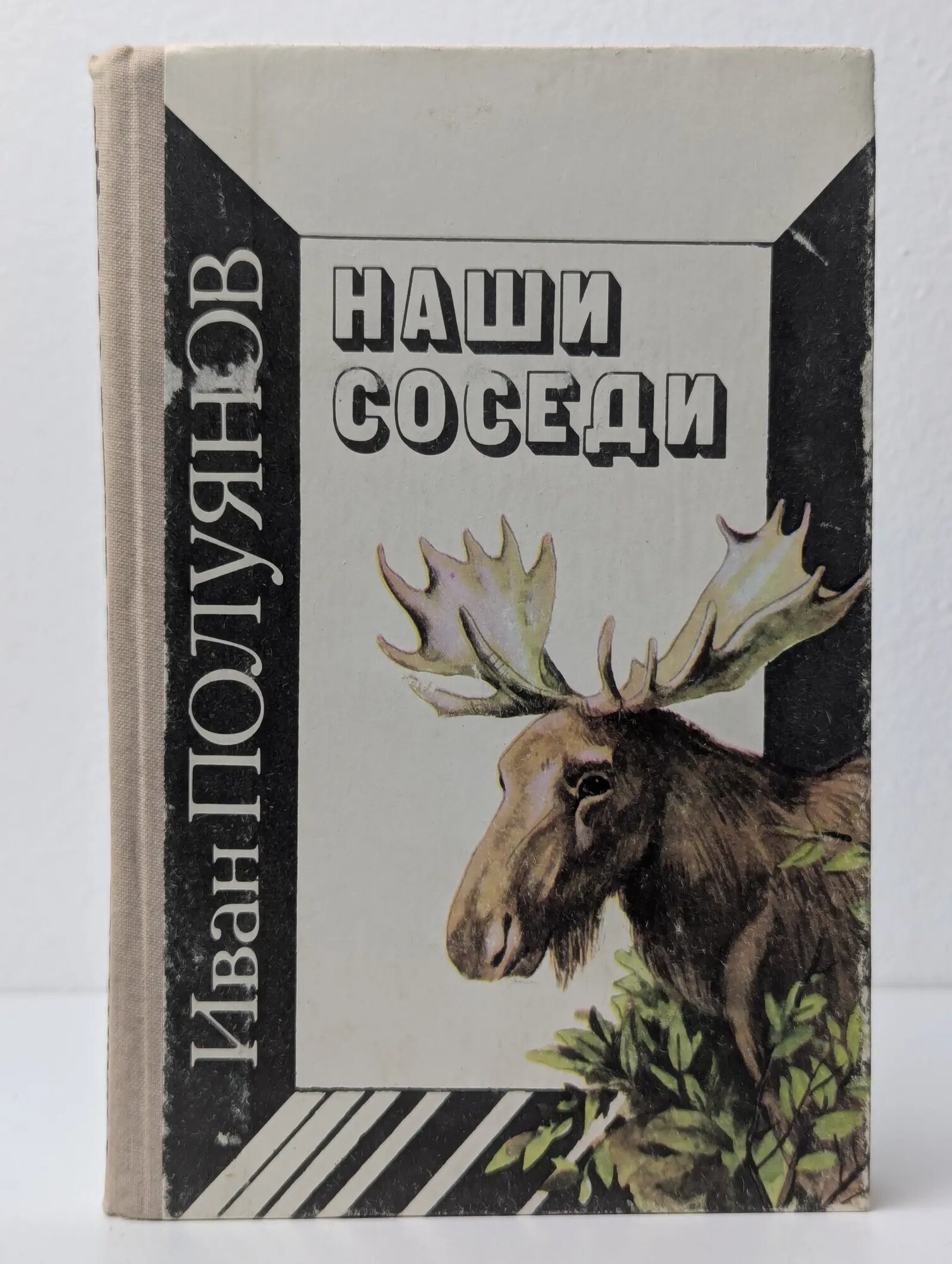 Наши соседи Полуянов Иван Дмитриевич 1990