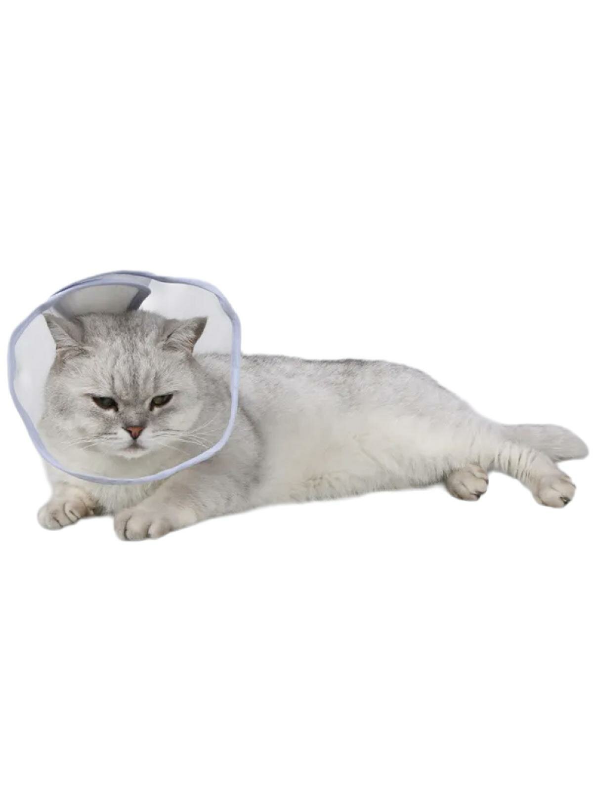 Нежный и эффективный конусообразный ошейник для собак и кошек Защищает от травм / операций