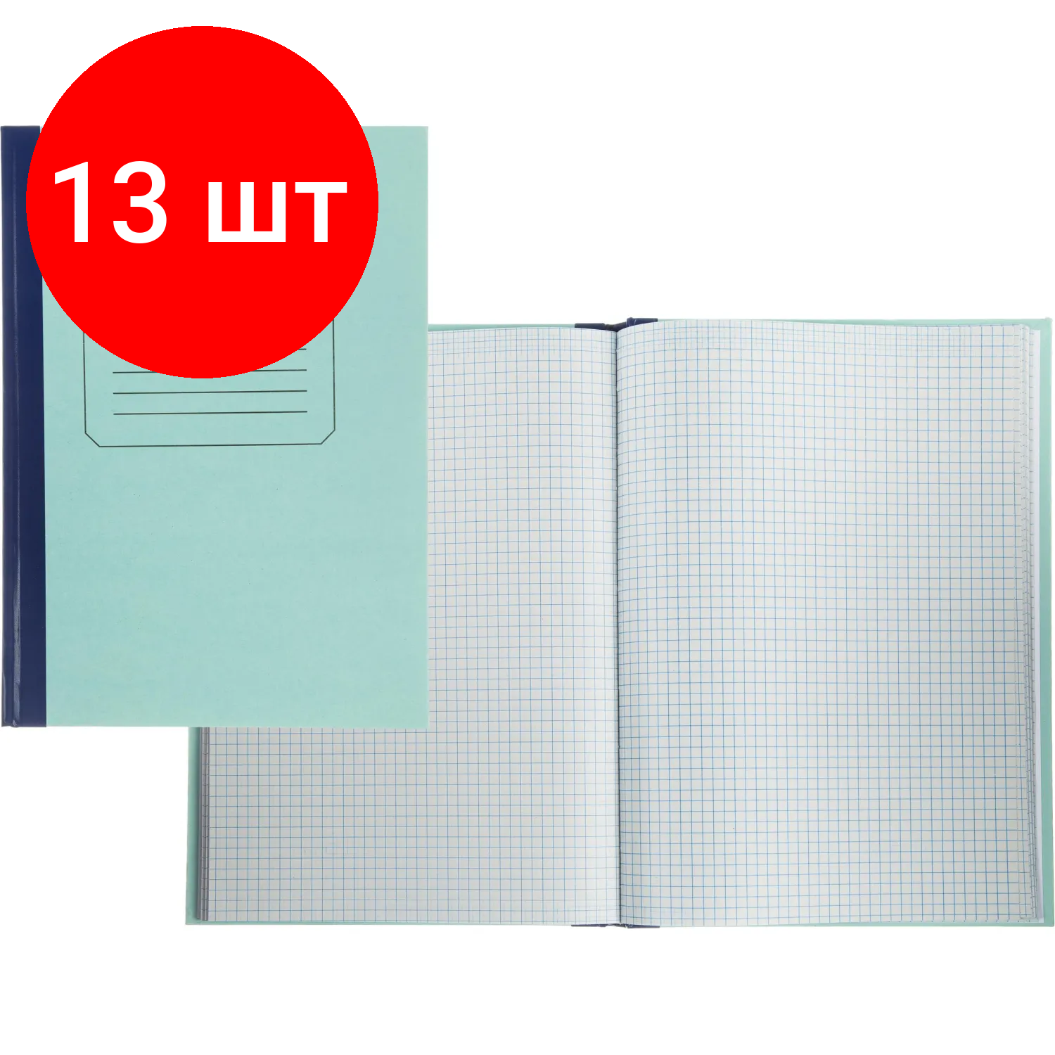 Комплект 13 штук, Книга учета амбарная в клетку 96л. обл. плотн. картон г/б