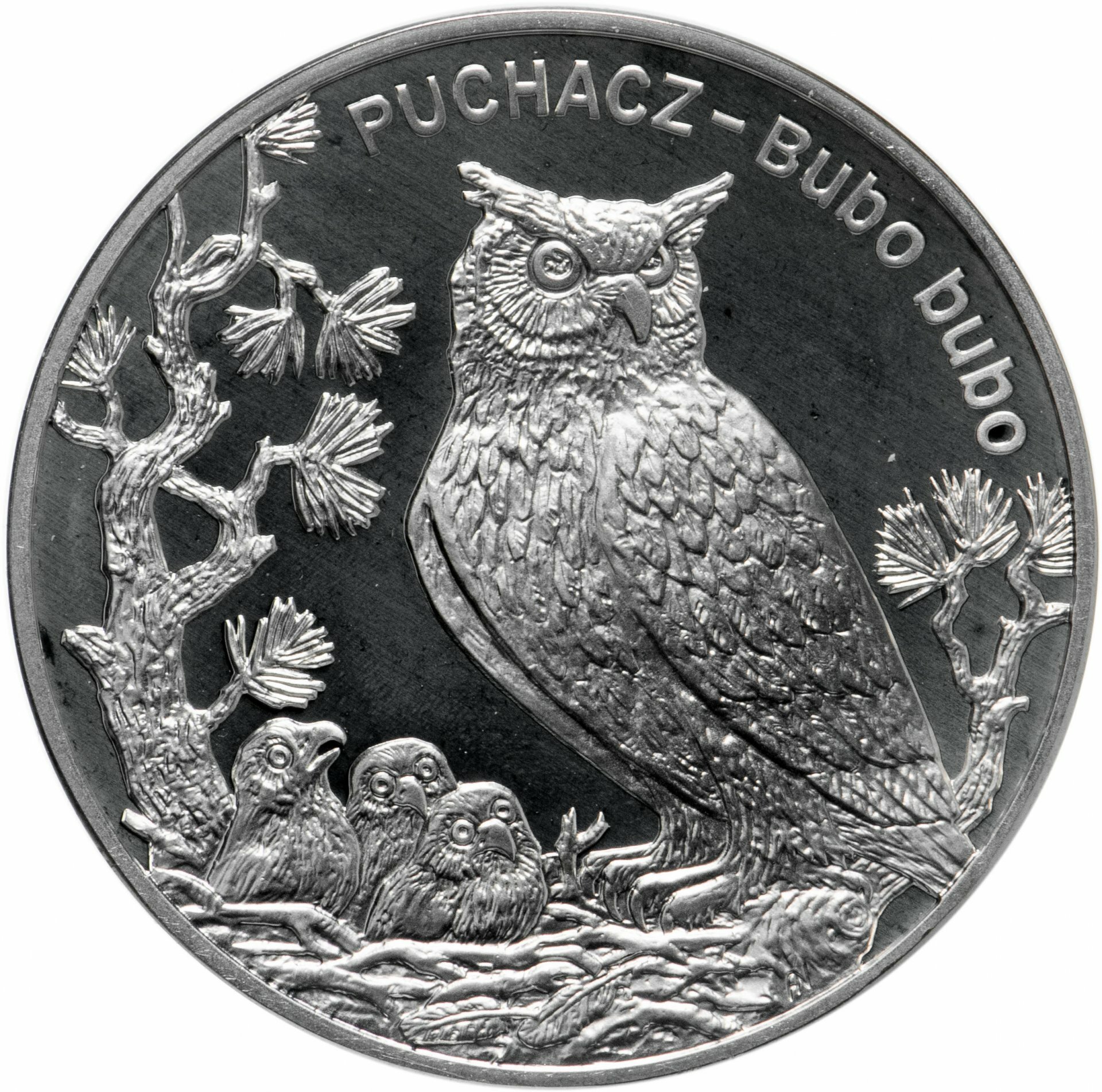 Польша 20 злотых 2005 "Сова", Серебро 925, в сохранности Proof