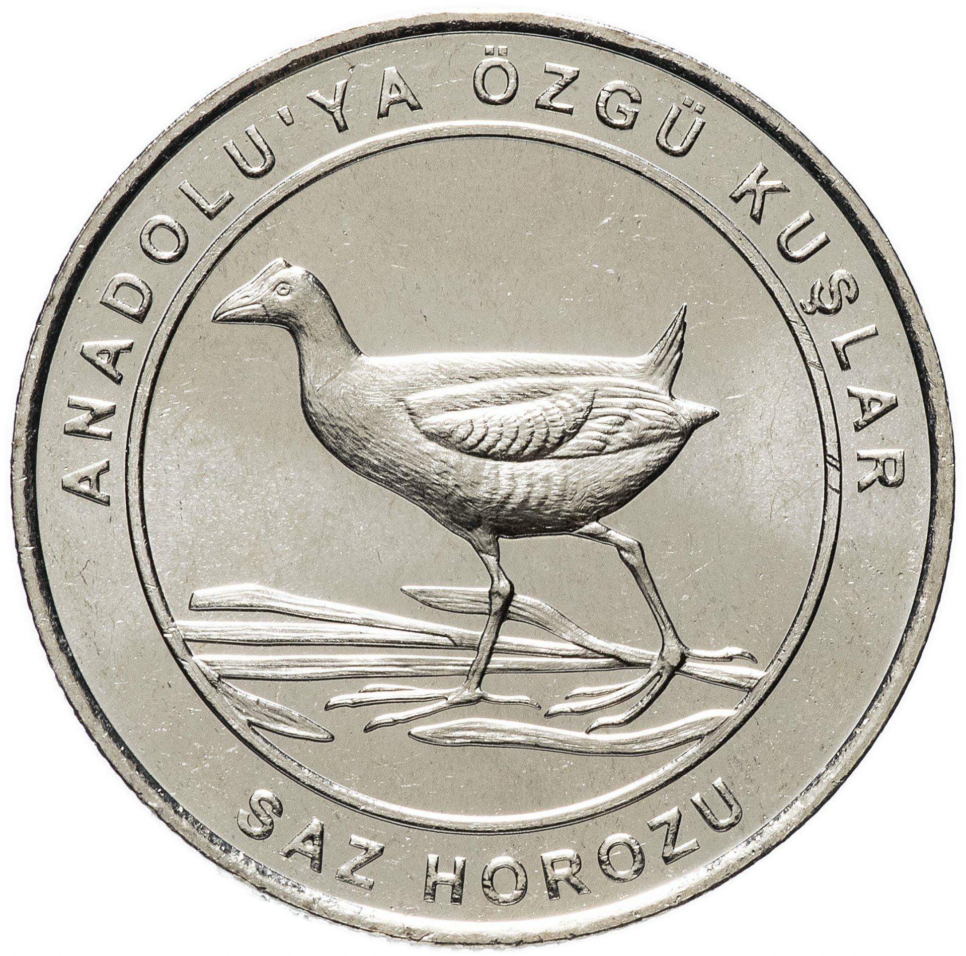 Турция 1 куруш, 2018 "Султанка" Серия "Птицы Анатолии", Медь, в сохранности UNC