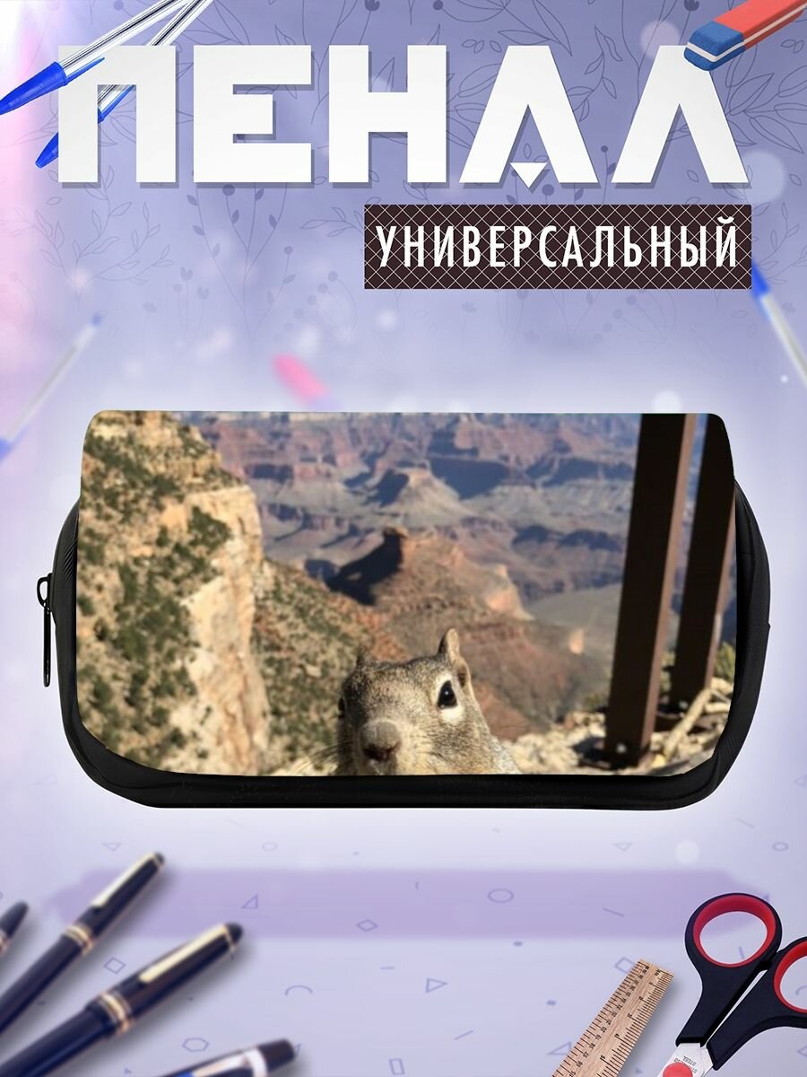 Школьный пенал национальный парк Гранд каньон Светлый Ангел Trail