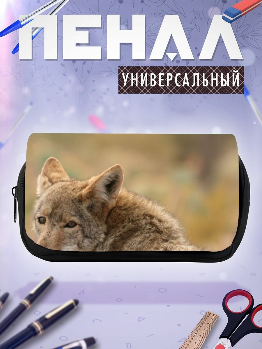 Школьный пенал Койот живая природа