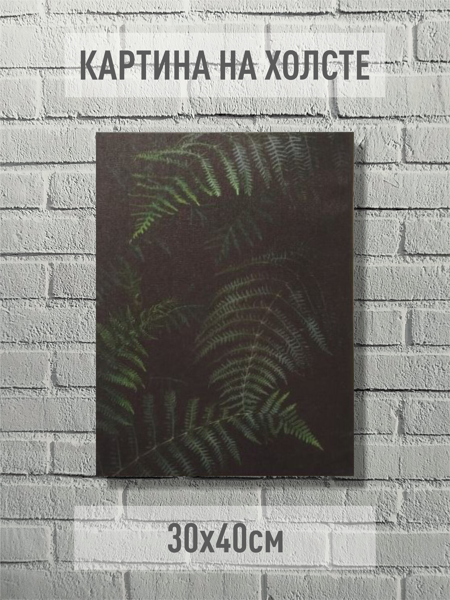 Картина "Папоротник", холст из 100% хлопка, УФ-печать, 30x40 см