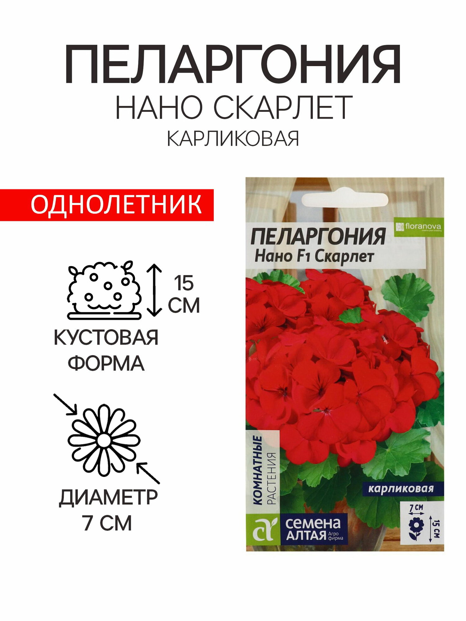 Семена цветов Пеларгония "Нано", ц/п, "Скарлет", ц/п, 3 шт, место выращивания: комнатное выращивание