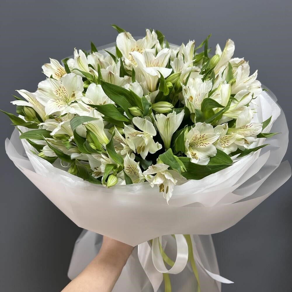 Стойкие белые альстромерии