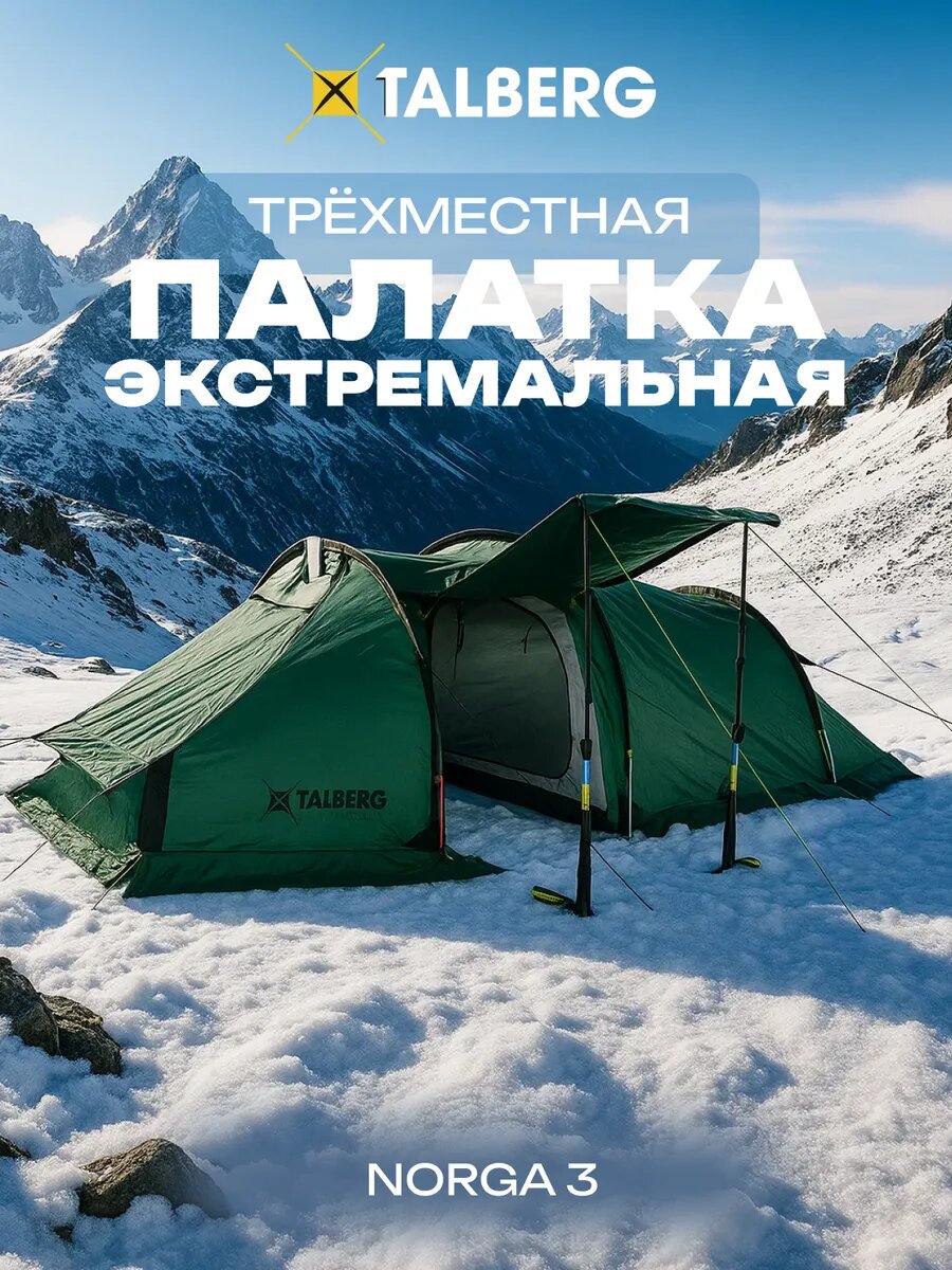Палатка туристическая 3 местная Talberg NORGA 3, зеленый, выход под печку