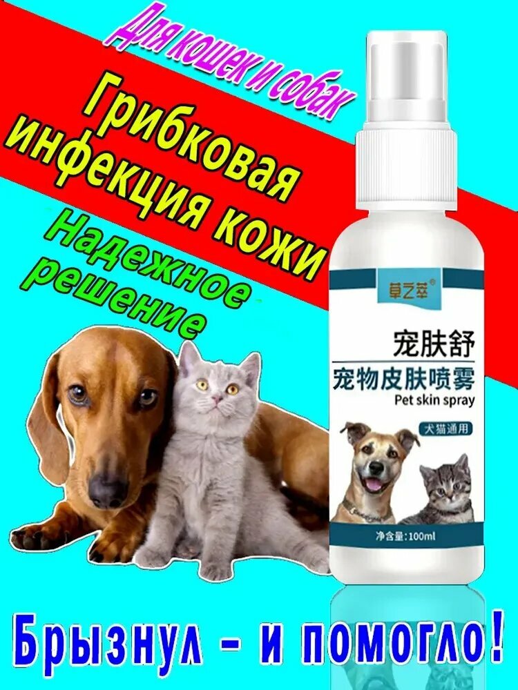 Спрей для животных от дерматита и зуда собак кошек натуральный спрей от межпальцевого дерматита 100 мл