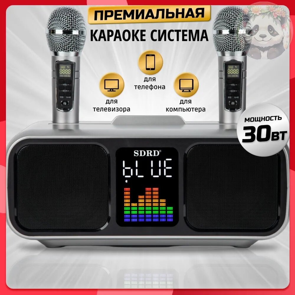 Караоке система для дома SD-318 /Ten Clock с микрофонами, для телефона, телевизора и компьютера