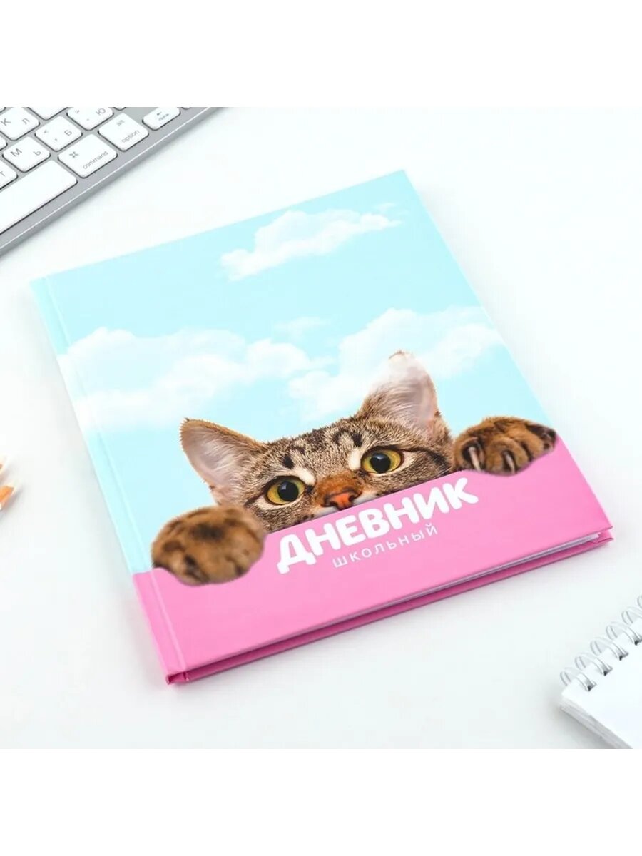 Универсальный школьный дневник с котиком