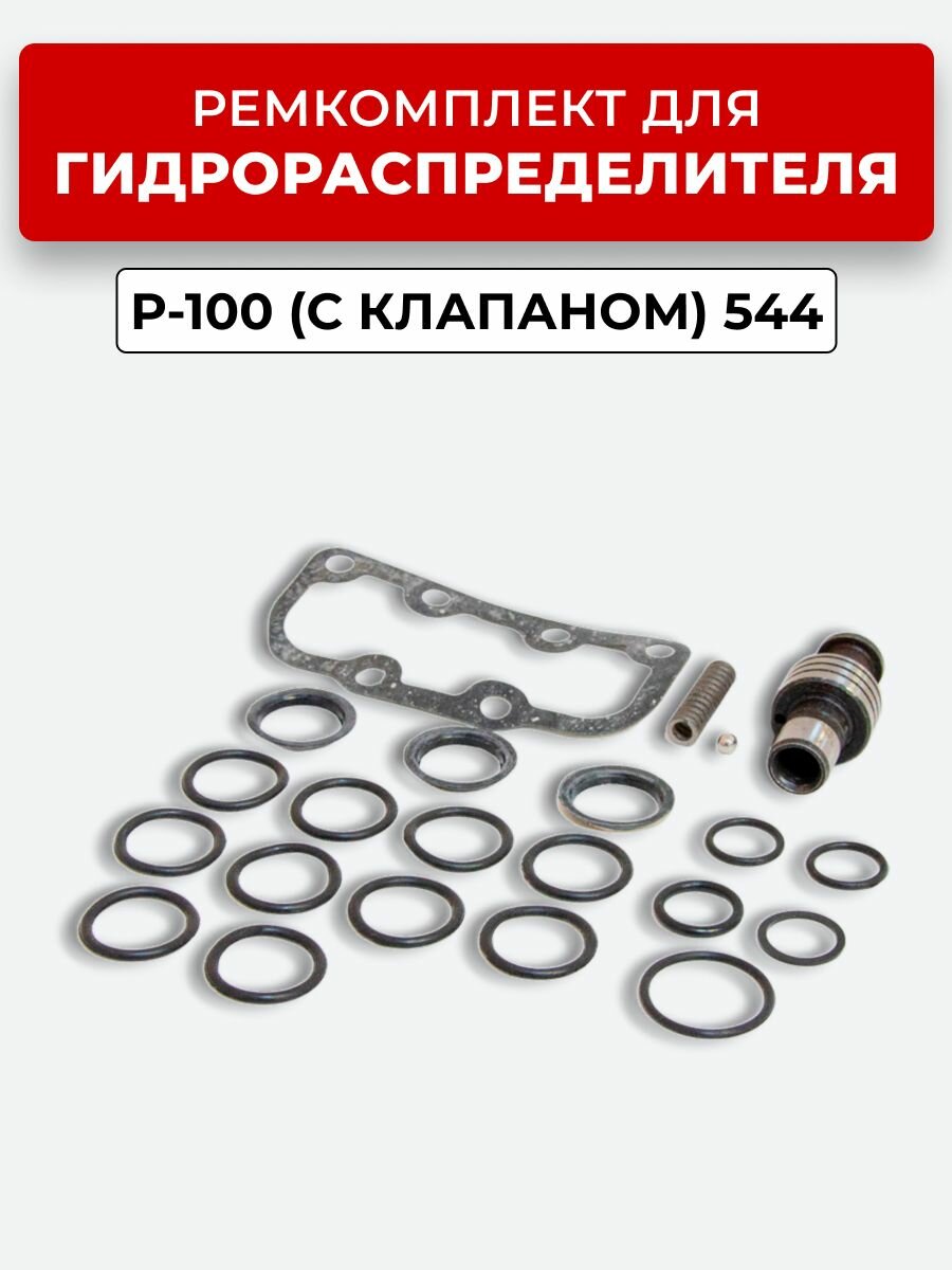 Ремкомплект Р-100 (с клапаном) 544