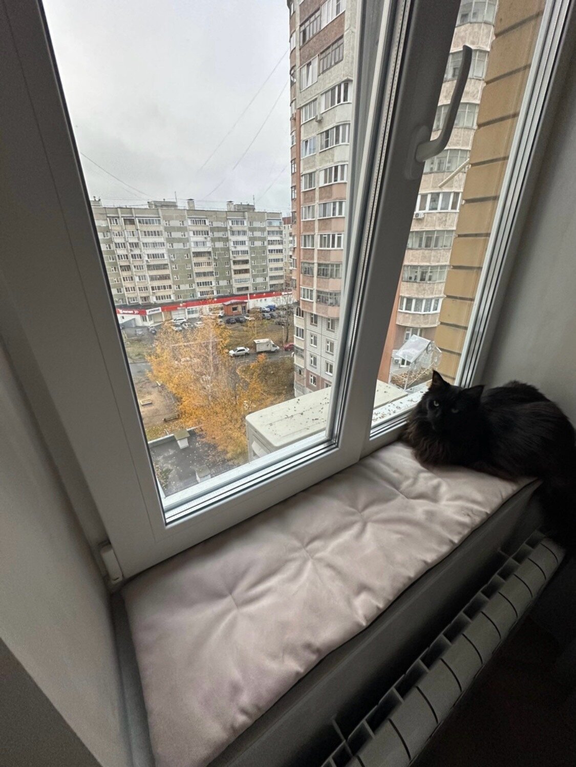 Лежанка 30*100 для кошек и собак на подоконник, на пол. Антискользящая.