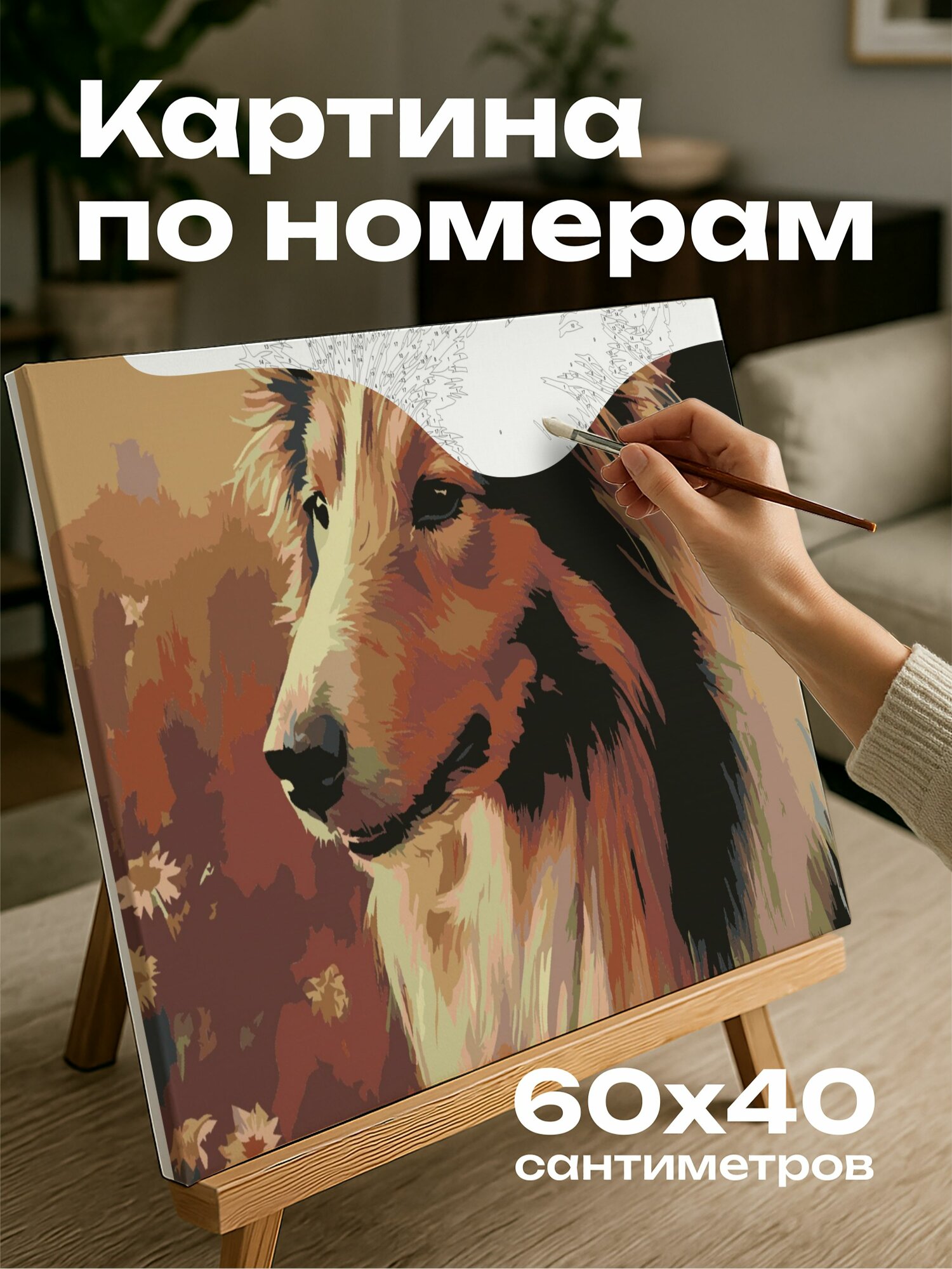 Картина по номерам 60x40 см, Колли, масляная картина, интеллект, теплота, землистые тона, мех, луг, солнце, преданность