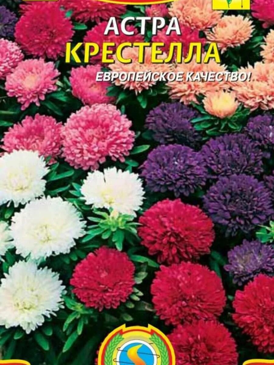 Астра Крестелла 0,2 г, Плазменные семена