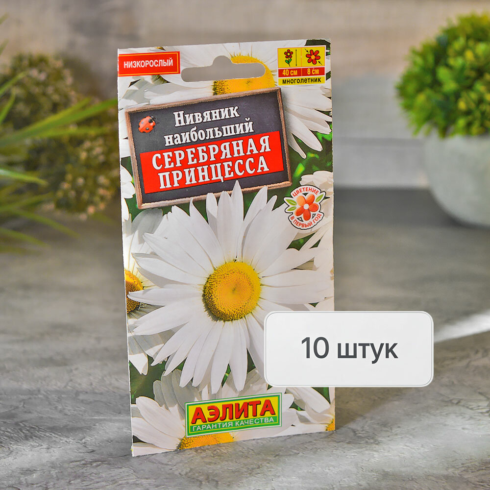 Нивяник наибольший "Серебряная принцесса", низкорослый, многолетник, 10 шт, до 40 см