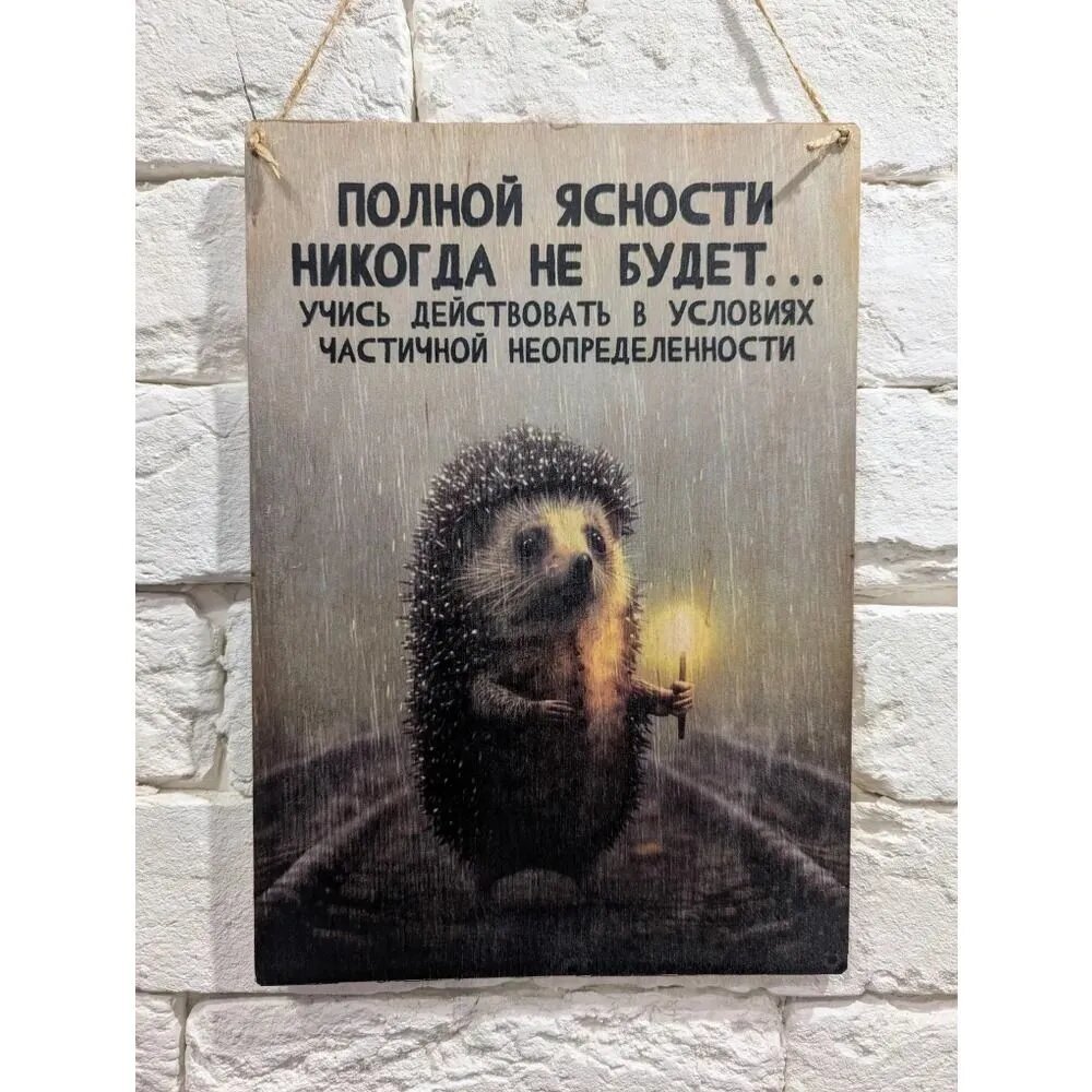 Табличка металлическая "Полная ясность" 20x30 cм.