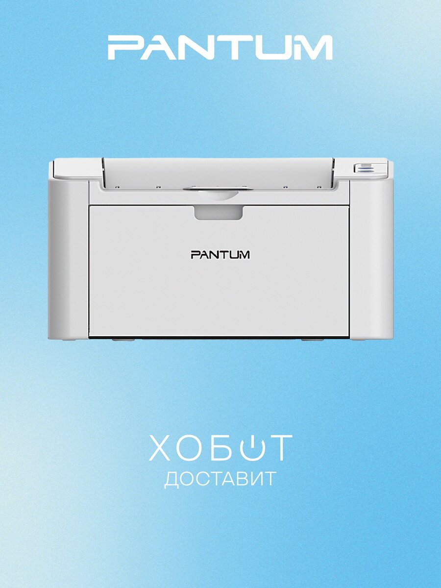 Принтер лазерный Pantum P2200 серый (A4, 1200dpi, 20ppm, 64Mb, USB) (P2200)
