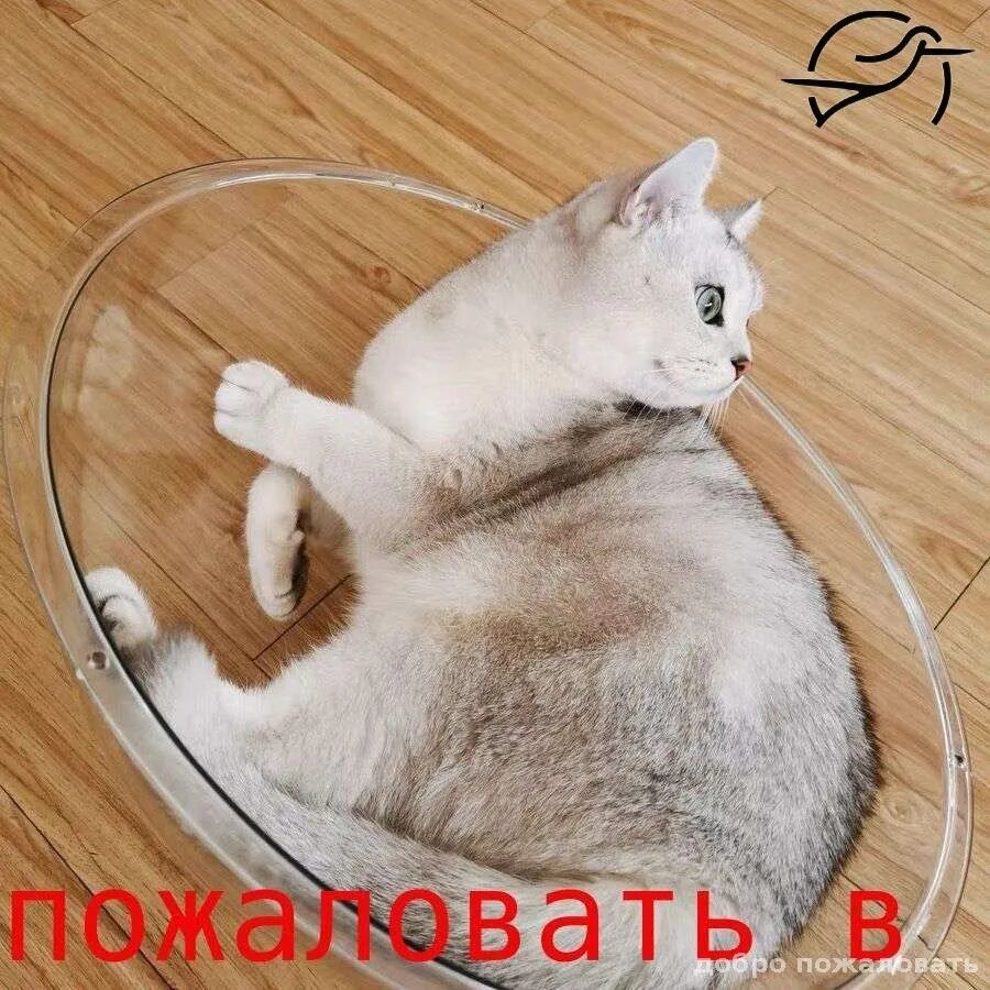 Эксклюзивная защита 30 см от пыли для лотка, выполнена из акрила