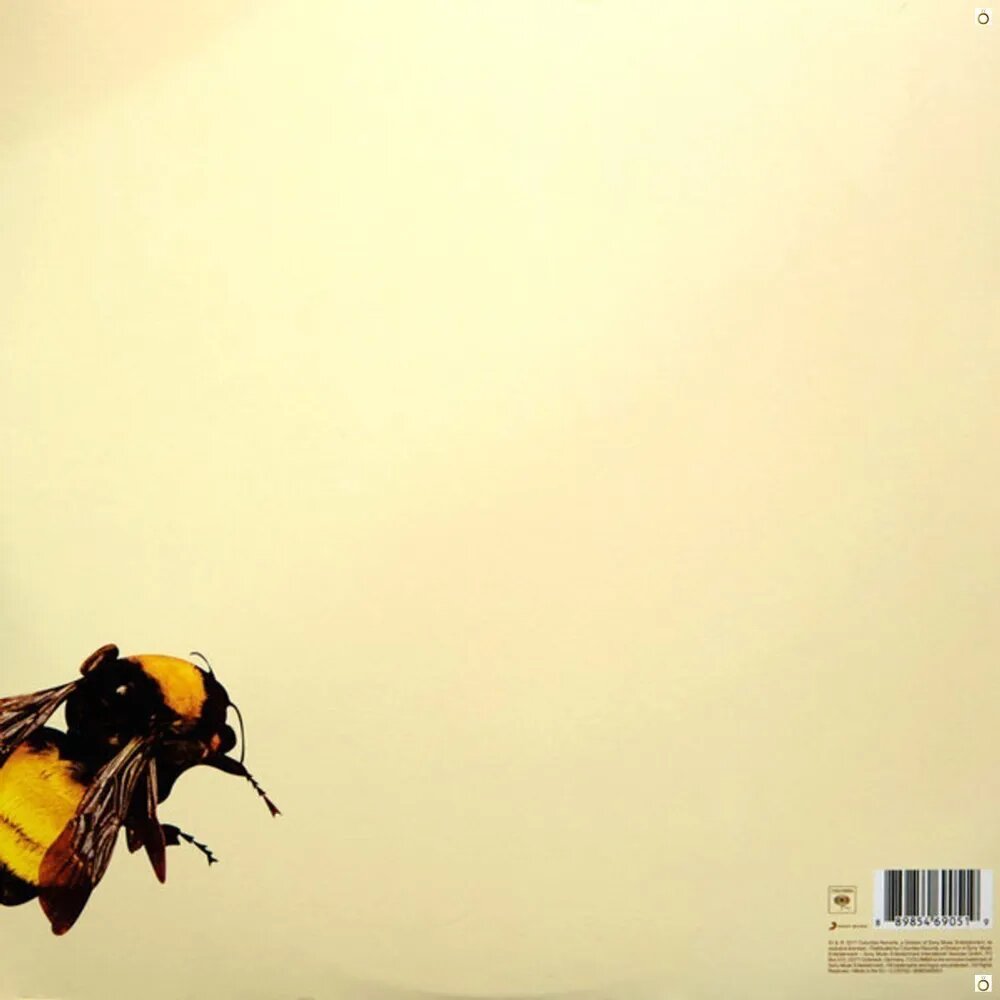 Tyler, The Creator - Flower Boy - Пластинка виниловая LP