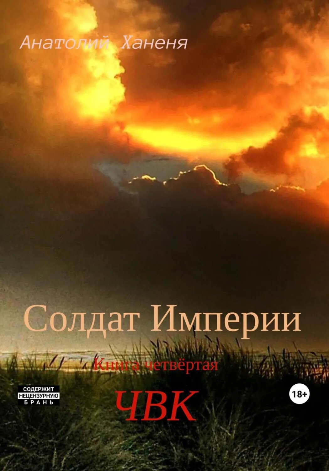 Солдат Империи. Книга четвёртая. ЧВК [Цифровая книга]