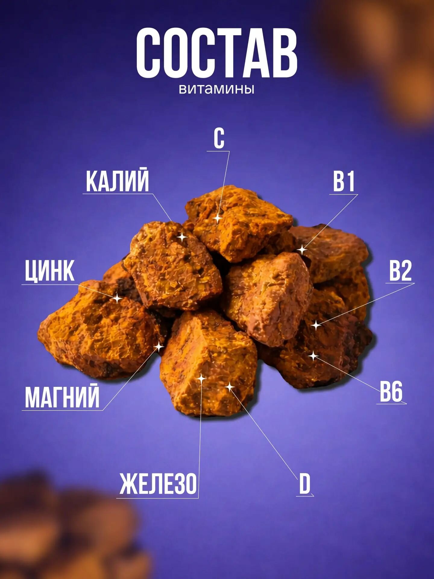 Чага березовая — фото 1
