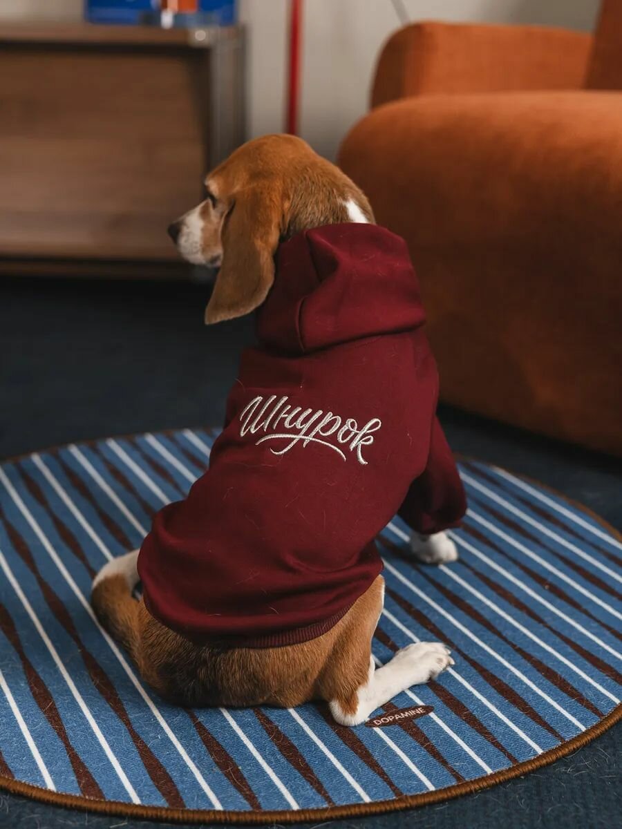 Одежда для собак кофта