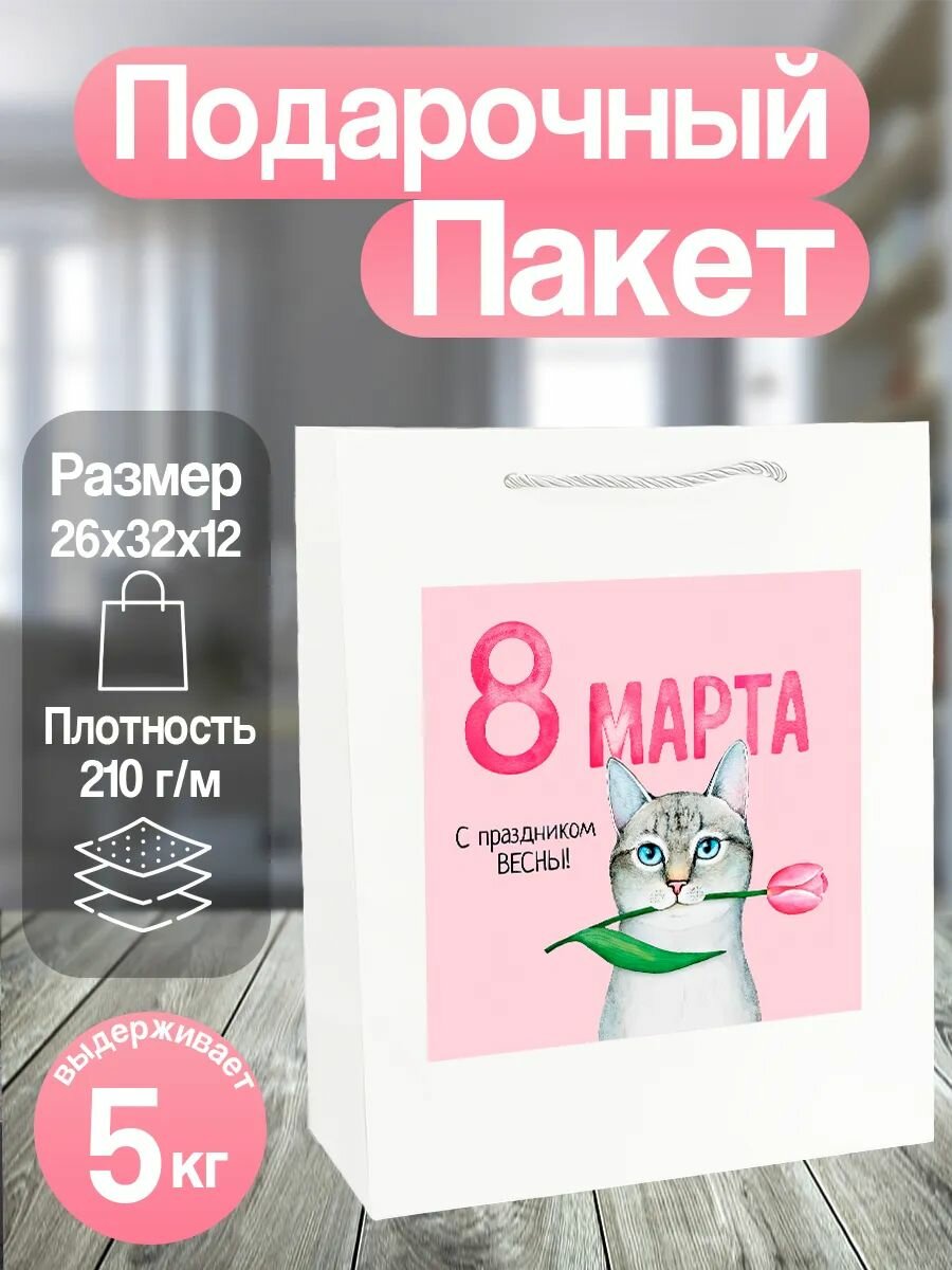 Пакет подарочный 8 марта, упаковка для подарка, 26х31 см