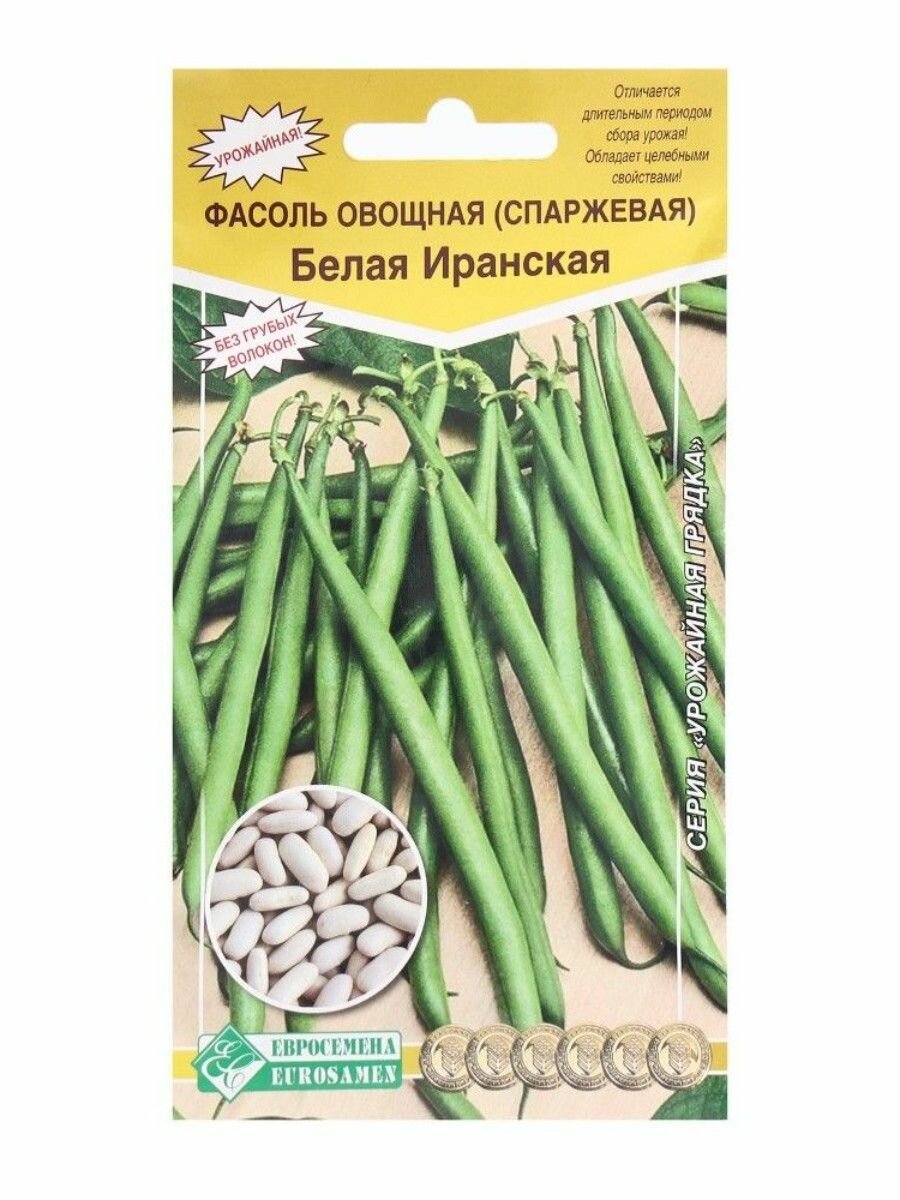 Семена Фасоль овощная (спаржевая) Белая Иранская