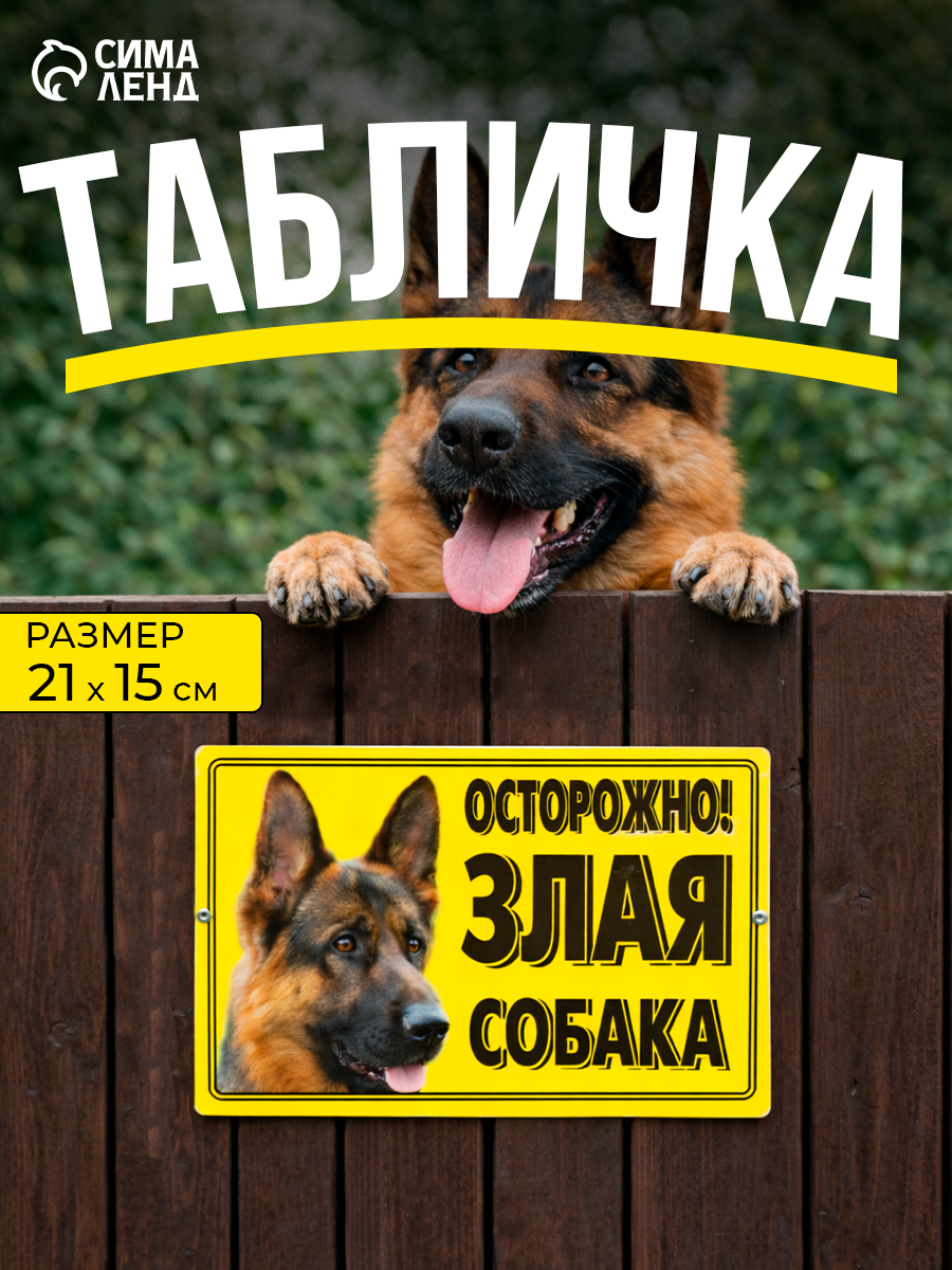 Табличка "Осторожно! Злая Собака", ламинированная, прямоугольная, 21x15 см