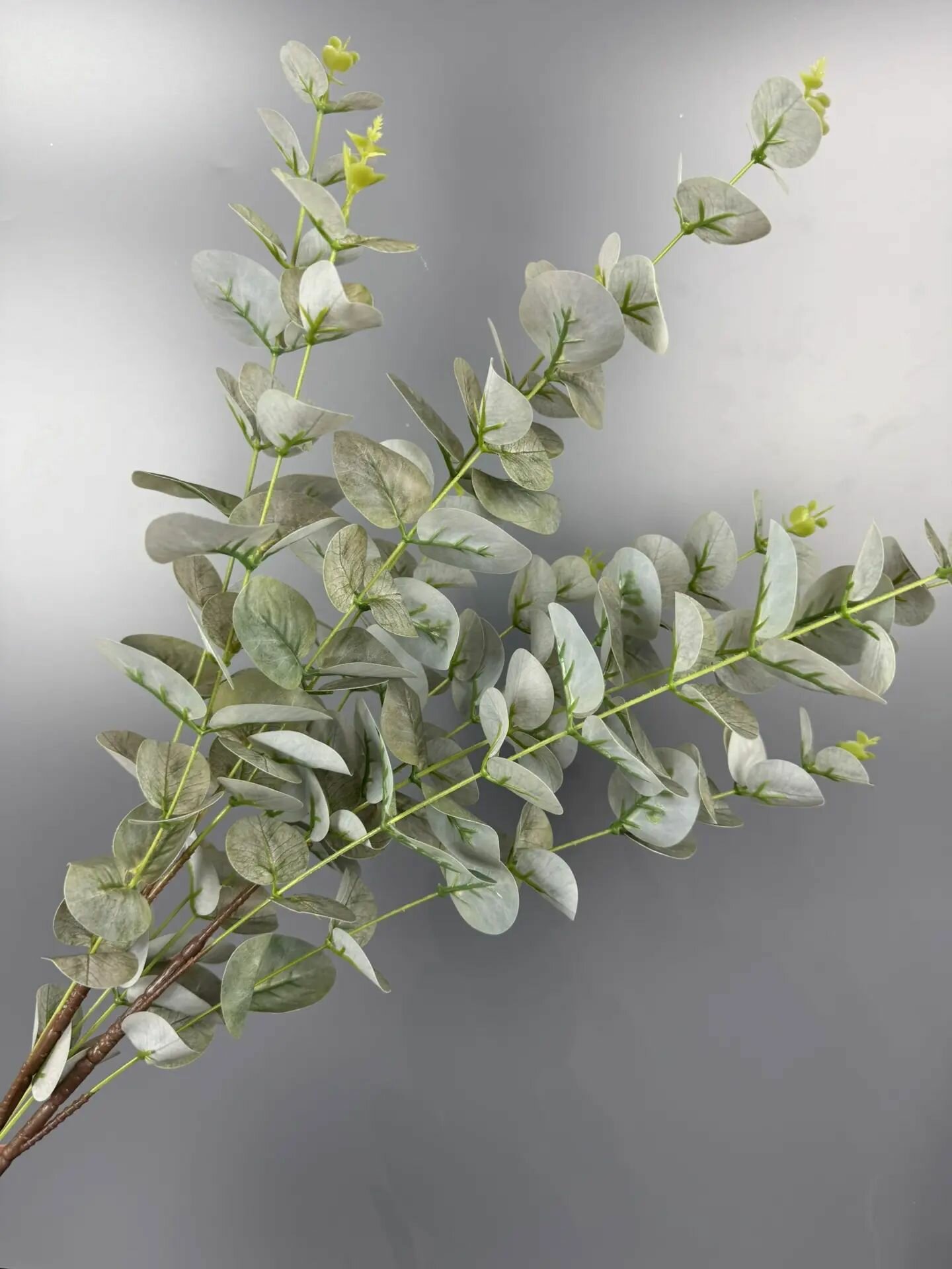 Искусственные цветы растение Эвкалипт 2 шт для декора и интерьера премиум серия бледно зеленый