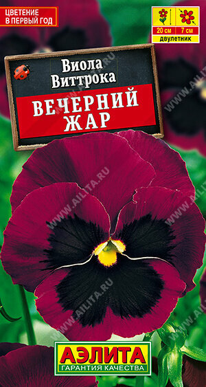 Семена аэлита "Вечерний жар", виола, крупные цветы, яркий окрас