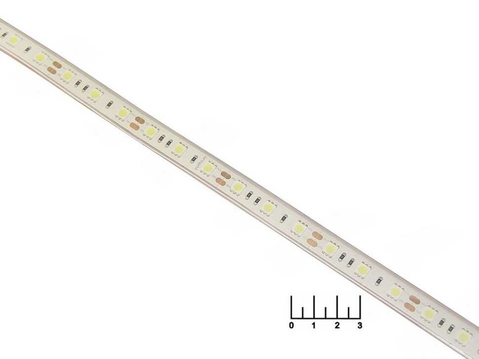 Светодиодная лента 12V белая холодная 5см водонеп. (14.4W/60LED/1м) IP67 RTW-PS-B60 022323(2)
