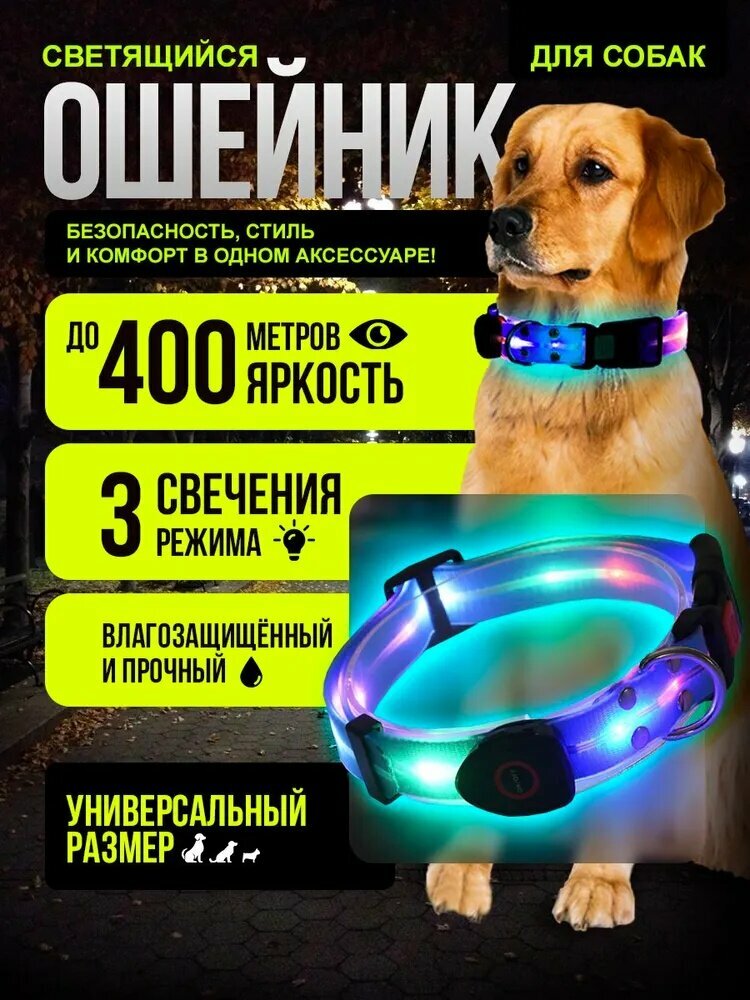 Светящийся ошейник для собак светодиодный голубой