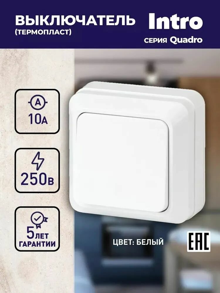 Выключатель одноклавишный накладной 10А-250В IP20 белый