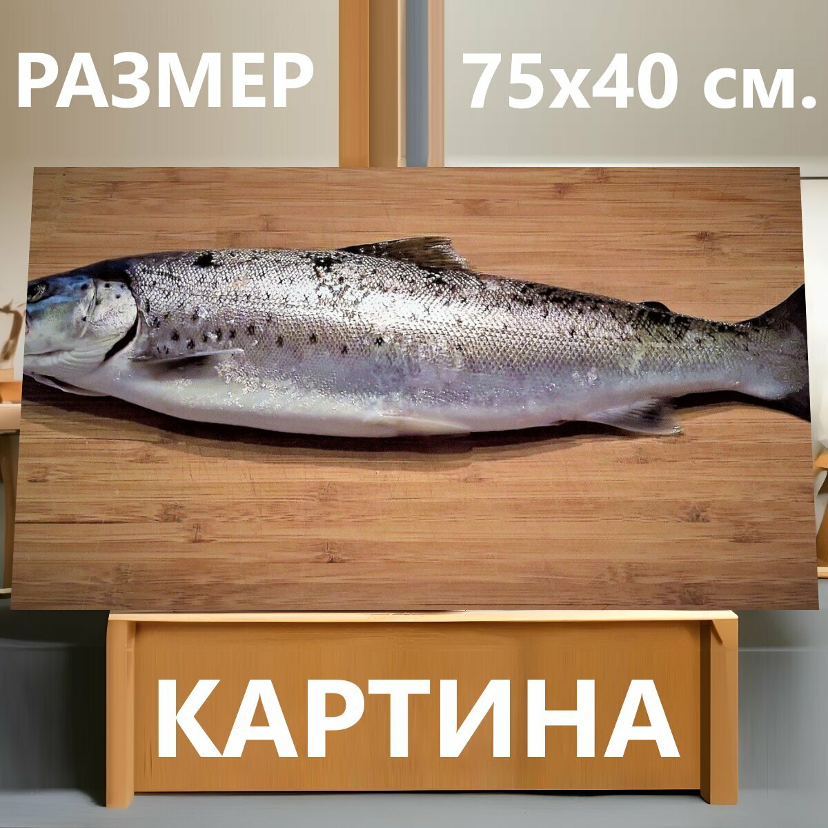 Картина на холсте "Рыбы, морская форель, salmo trutta" на подрамнике 75х40 см. для интерьера