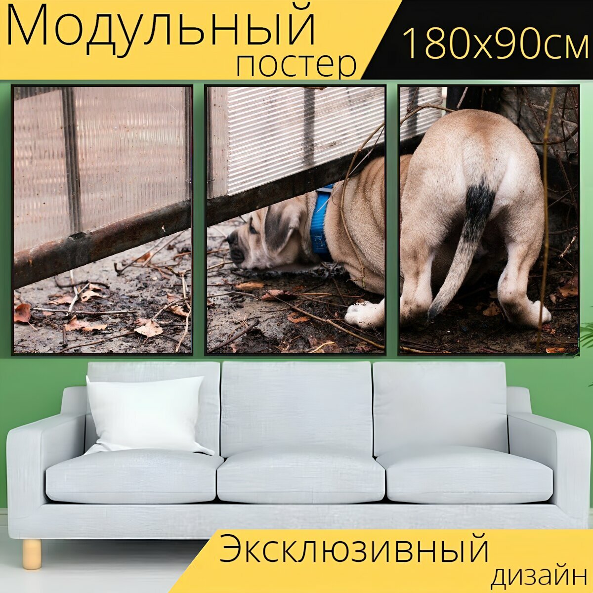 Модульный постер "Собака, щенок, ка-де-бо" 180 x 90 см. для интерьера на стену в тубусе