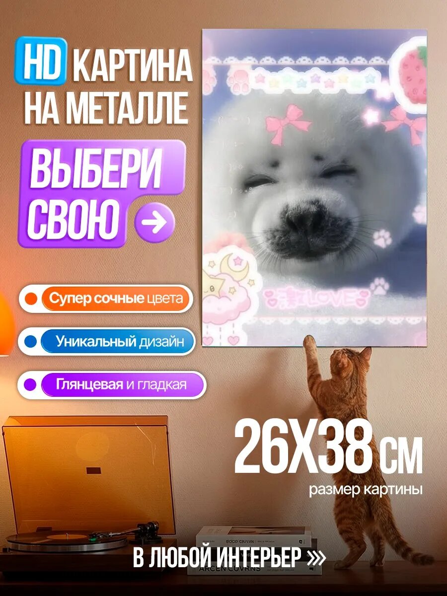 Картина на HD металле Милый тюлень в облаках