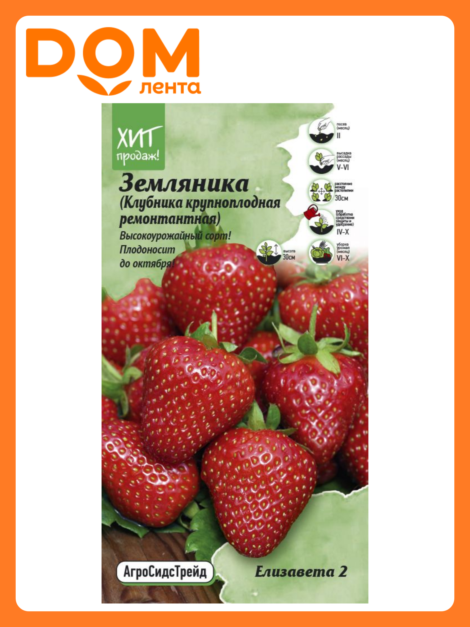 Земляника Елизавета 2 (Клубника крупноплодная ремонтантная) 0,02г АСТ