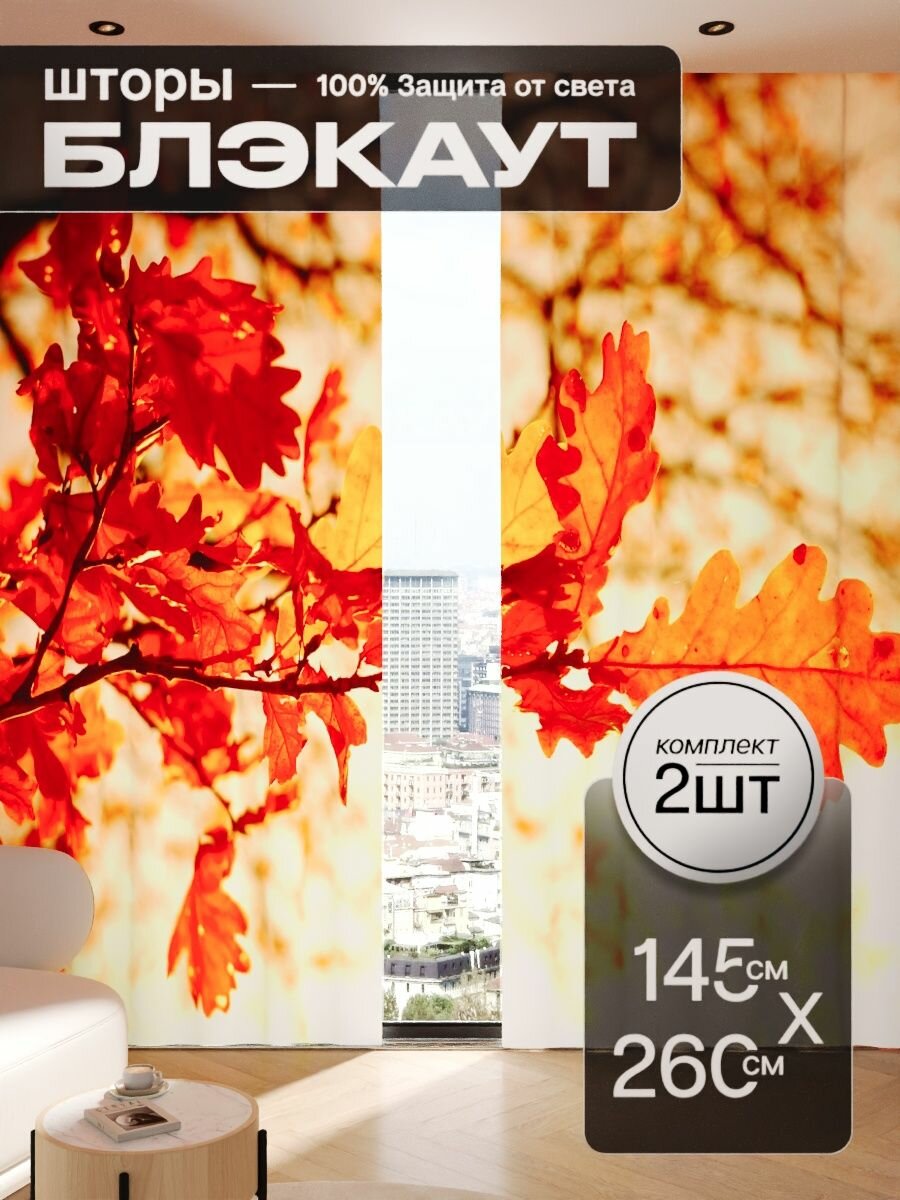Шторы блэкаут 145x260 см 2 шт на окна плотные комплект