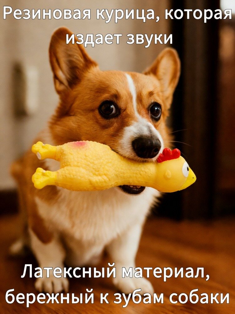 Игрушки для домашних животных Кричащая латексная курица，Подходит для собак маленьких и средних размеров