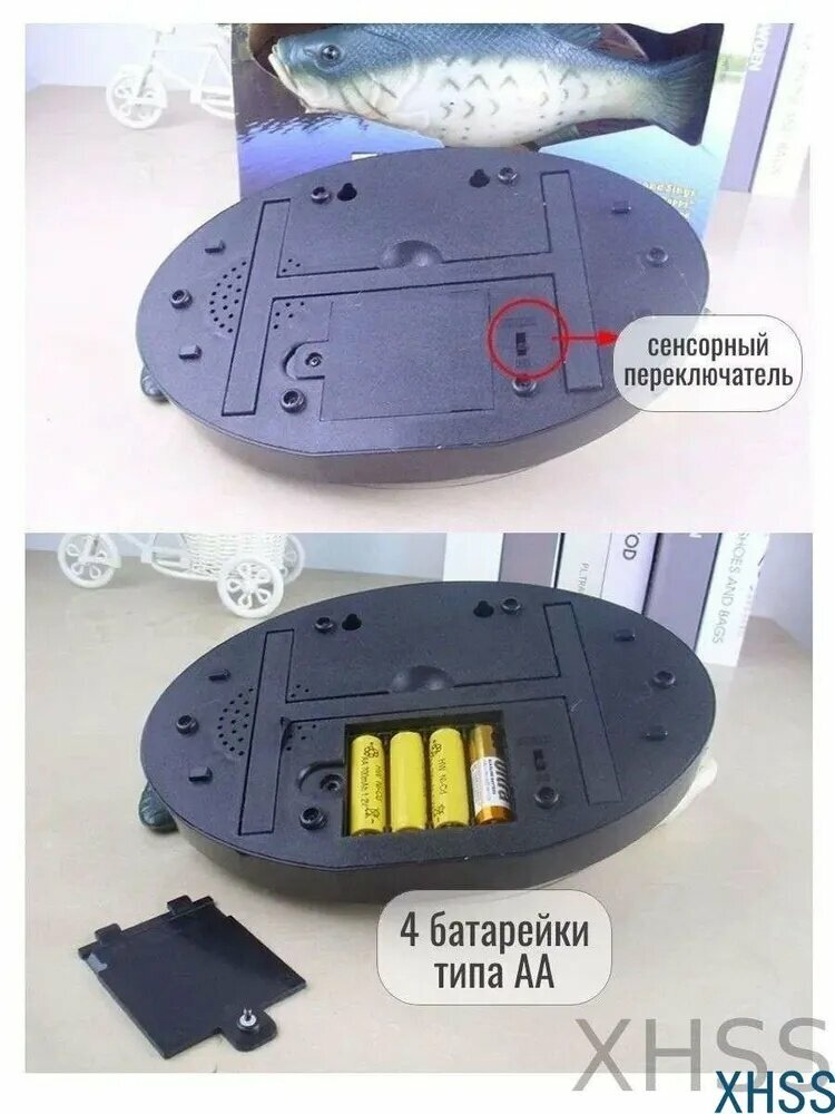 Поющая рыба — фото 1