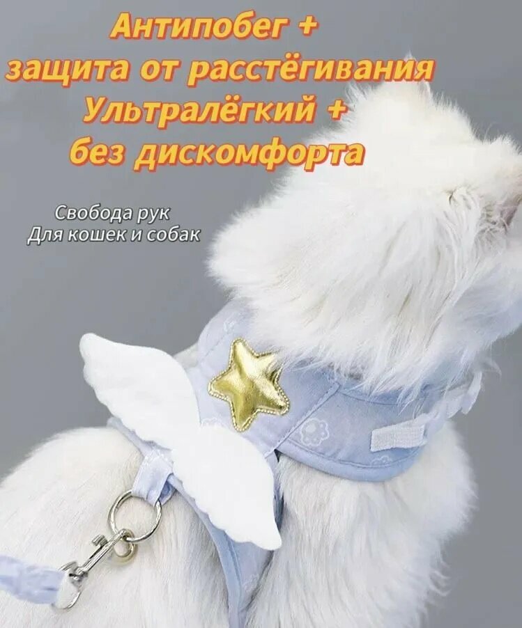 Ангельские крылья: жилет-шлейка для кошек/собак с защитой от побега