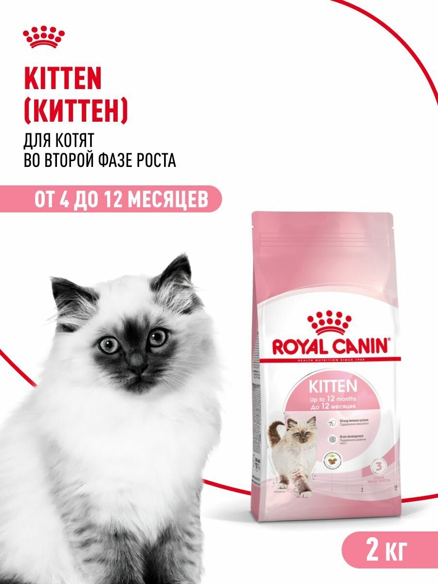 Сухой корм для котят Royal Canin Kitten, 2 кг
