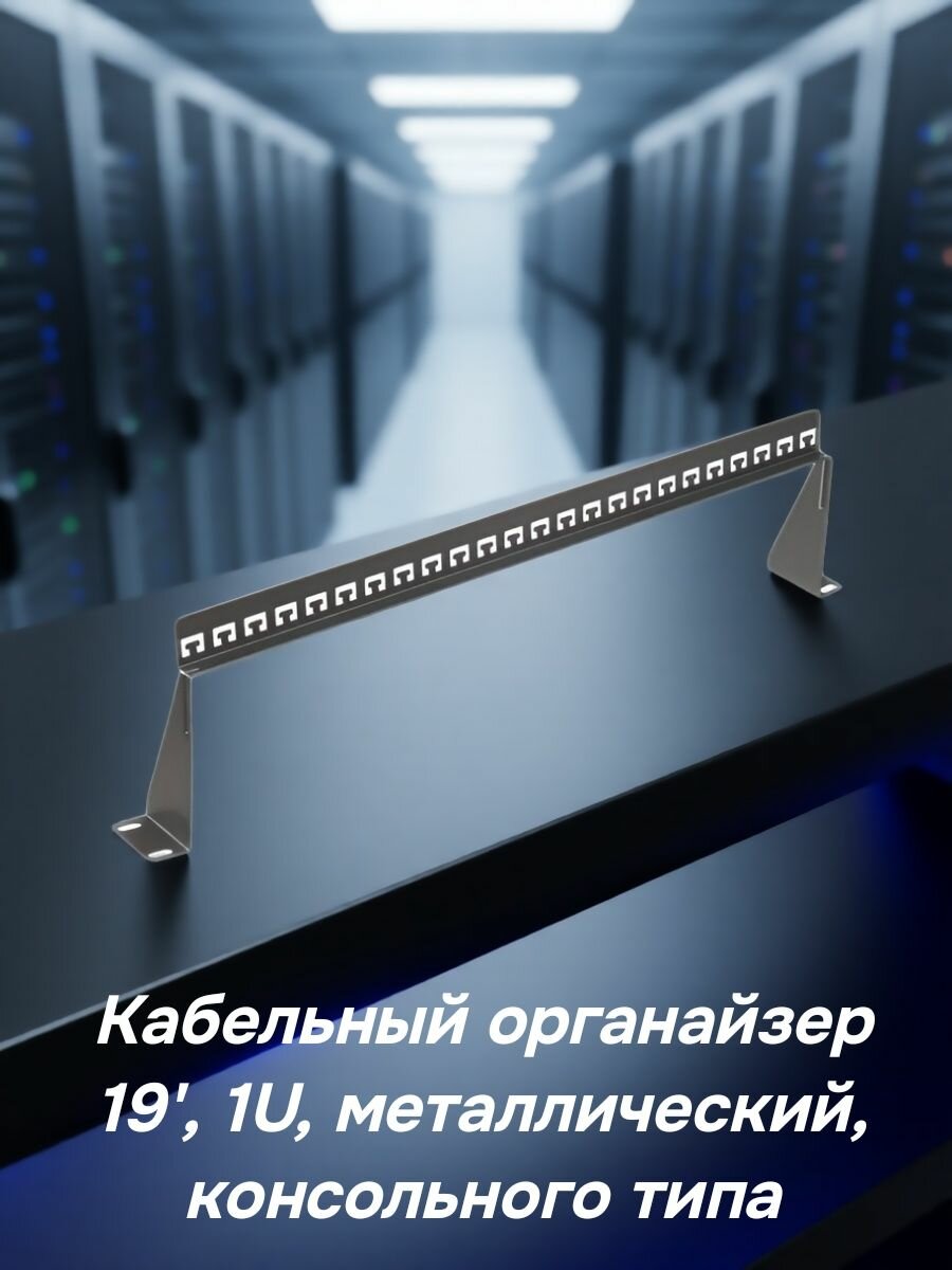 Кабельный органайзер 19", 1U, металлический, консольного типа, черный "SB"