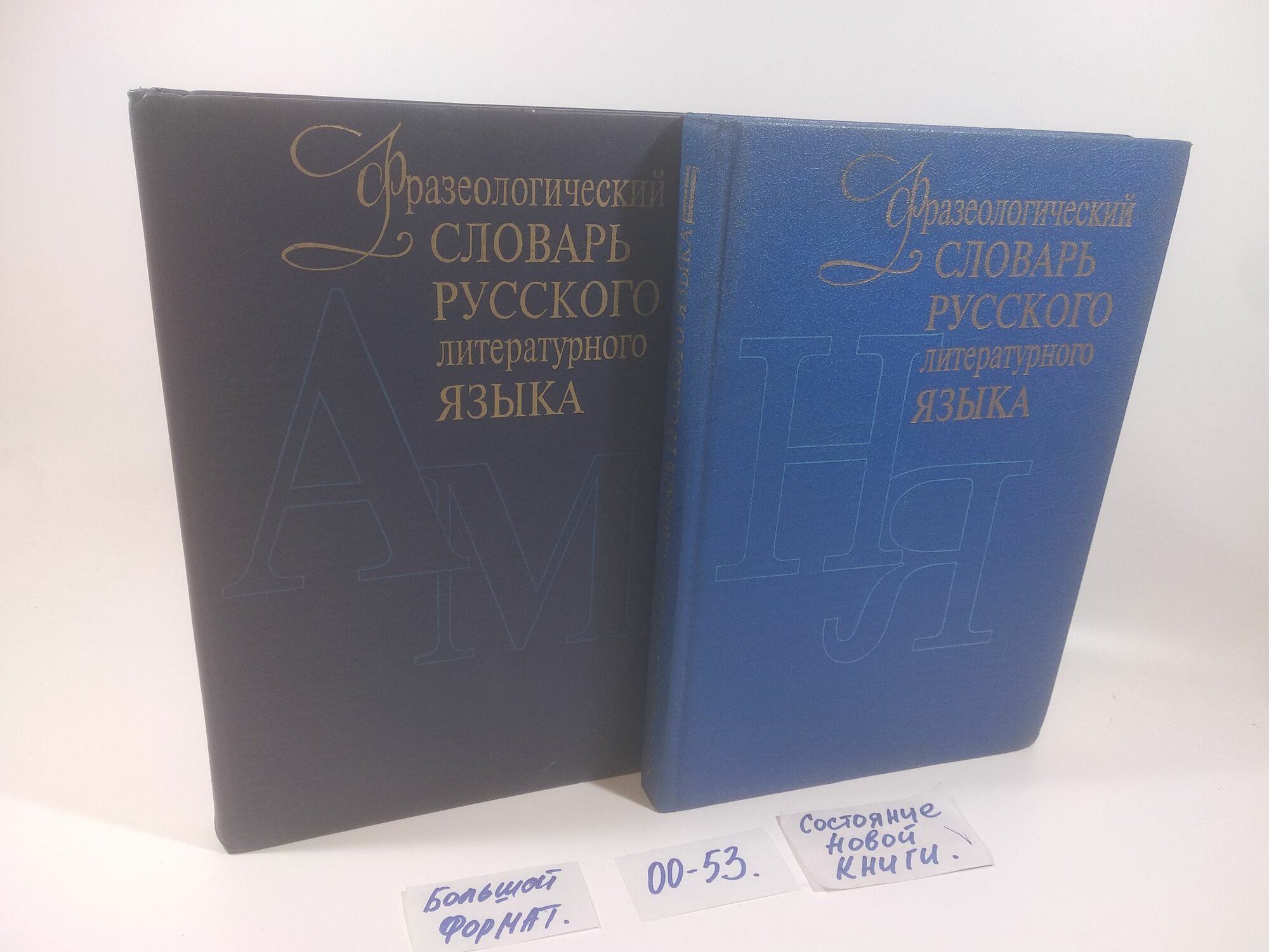 Фразеологический словарь русского литературного языка. В двух томах