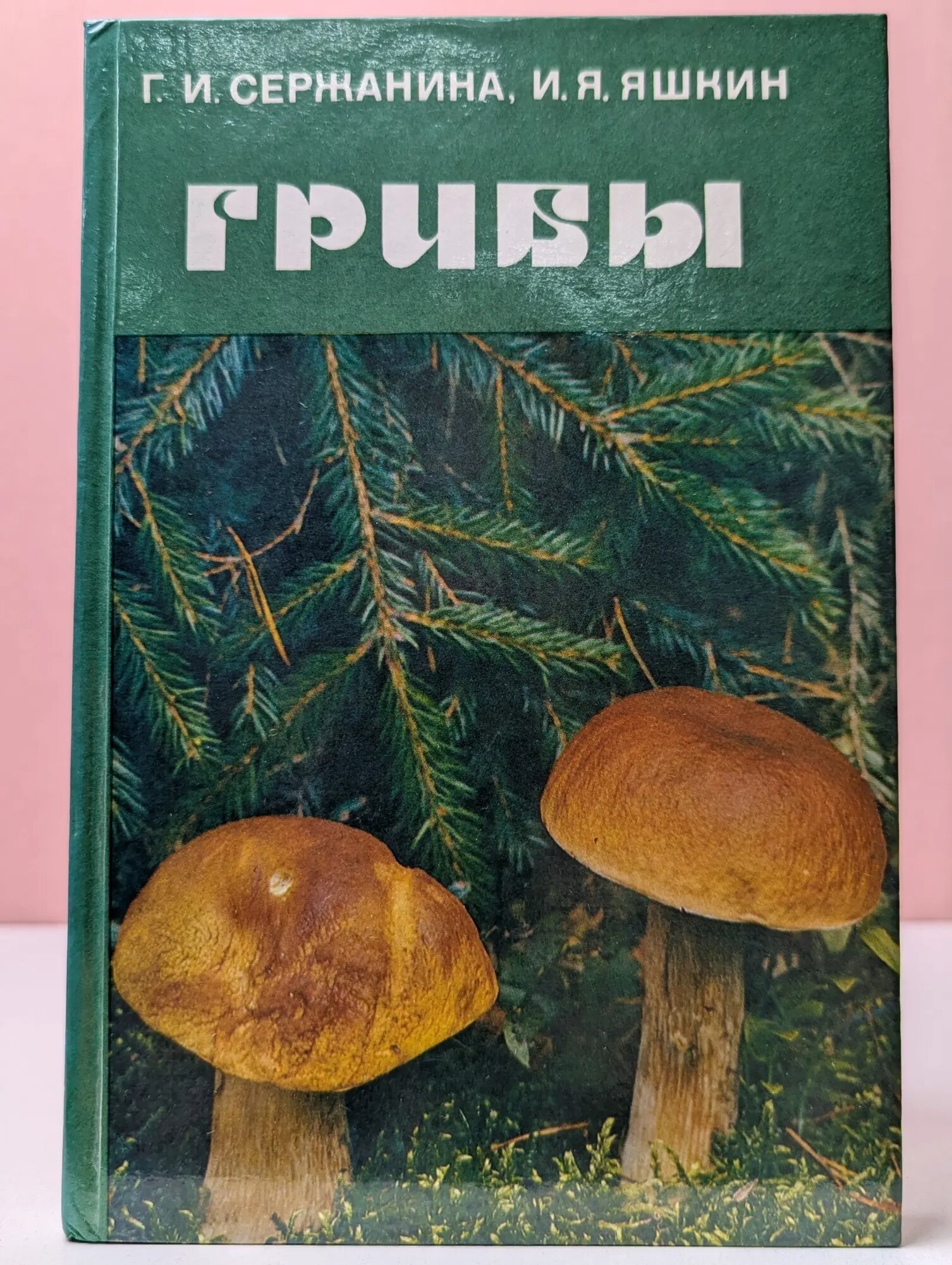 Грибы Сержанина Галина Ивановна, Яшкин И. Я. 1986
