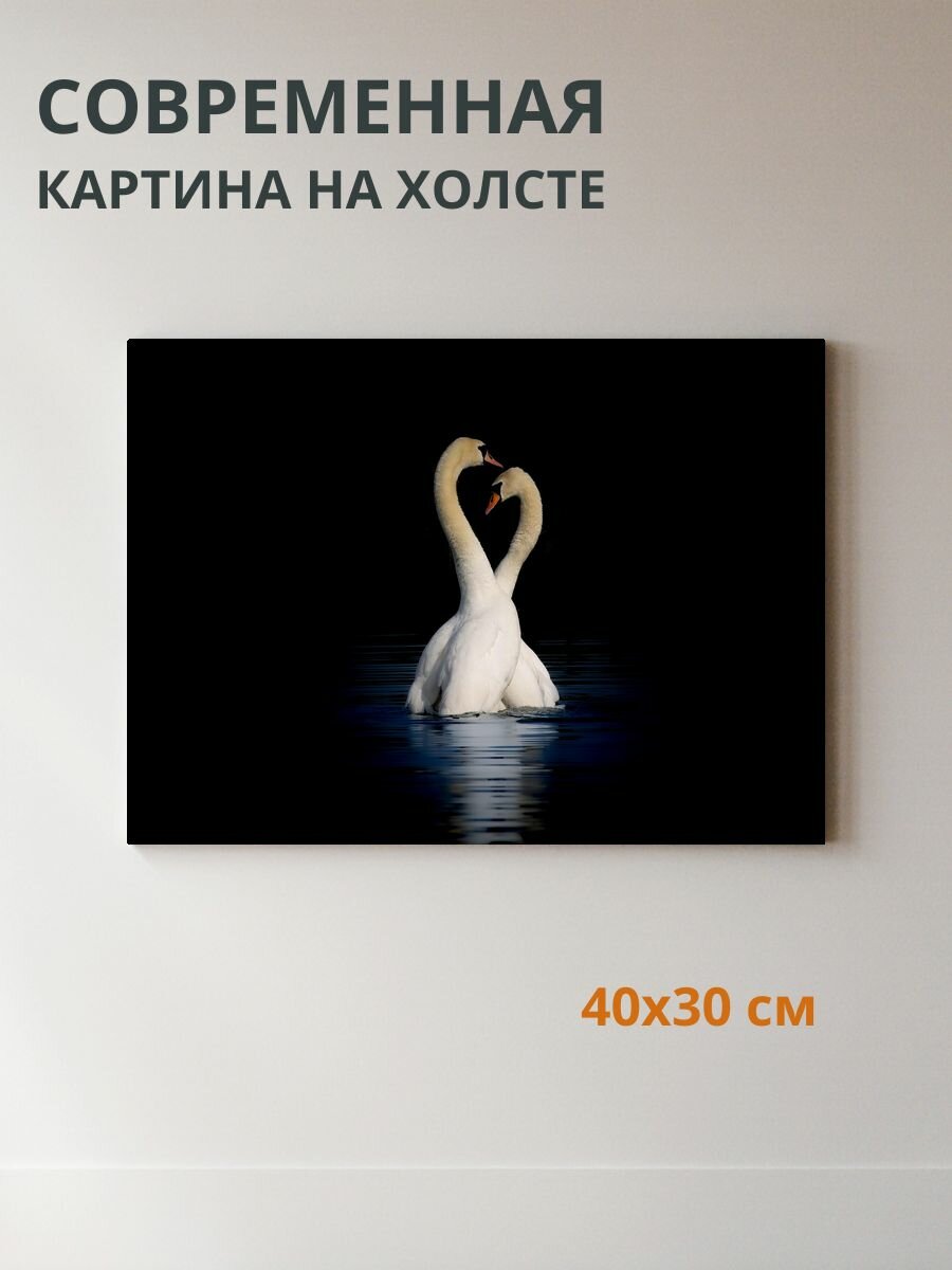 Картина на холсте Пара лебедей 40x30 см